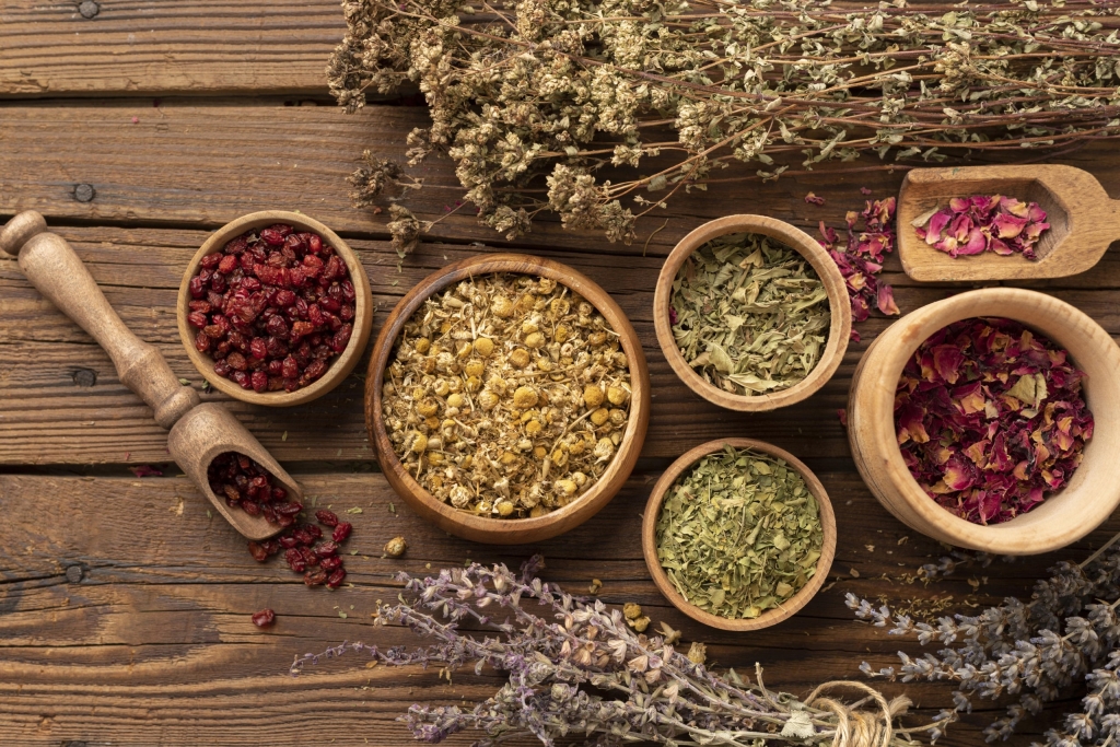Naturopathic Medicine Course – Naturopathy School of the Philippines